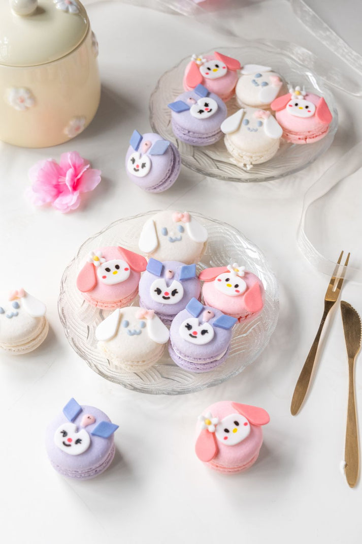 Sanrio Macarons Baking Class for Kids 💜
