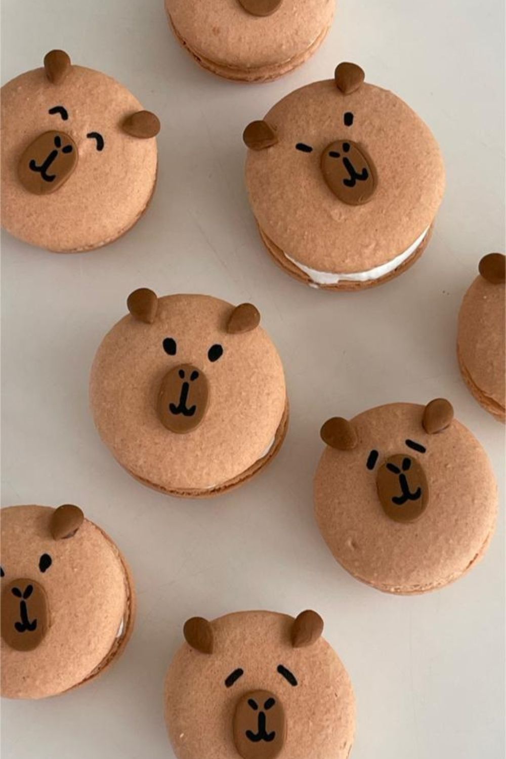 Capybara Macarons Baking Class for Kids 🍫🧁
